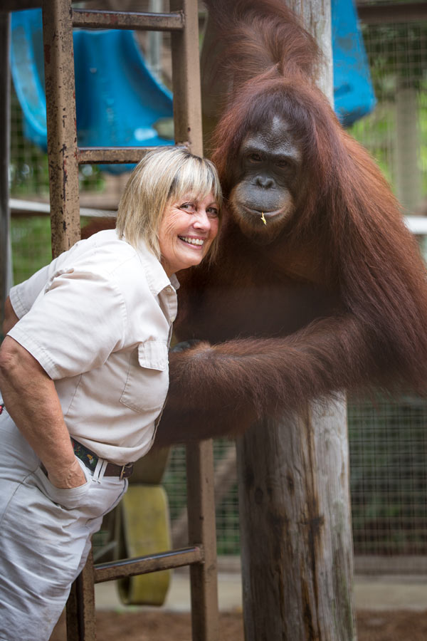 Orangutanes pintando en Jungle Island durante Art Basel